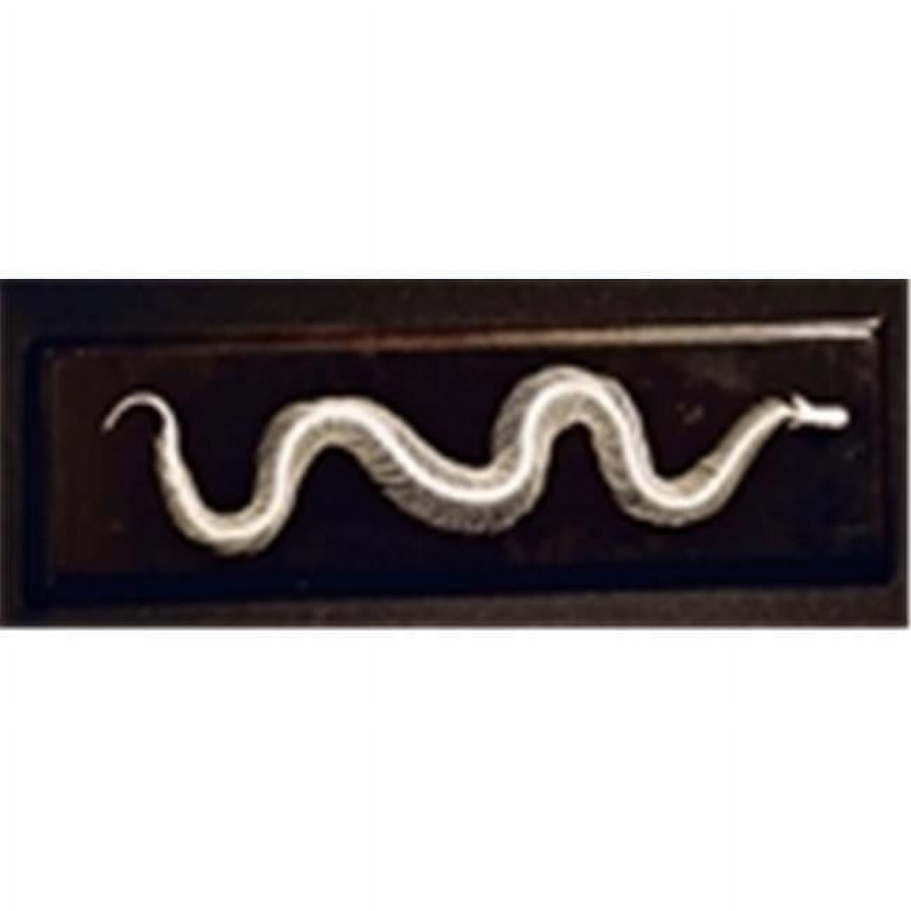 C and A Scientific Venomous Snake Skeleton - Walmart.com