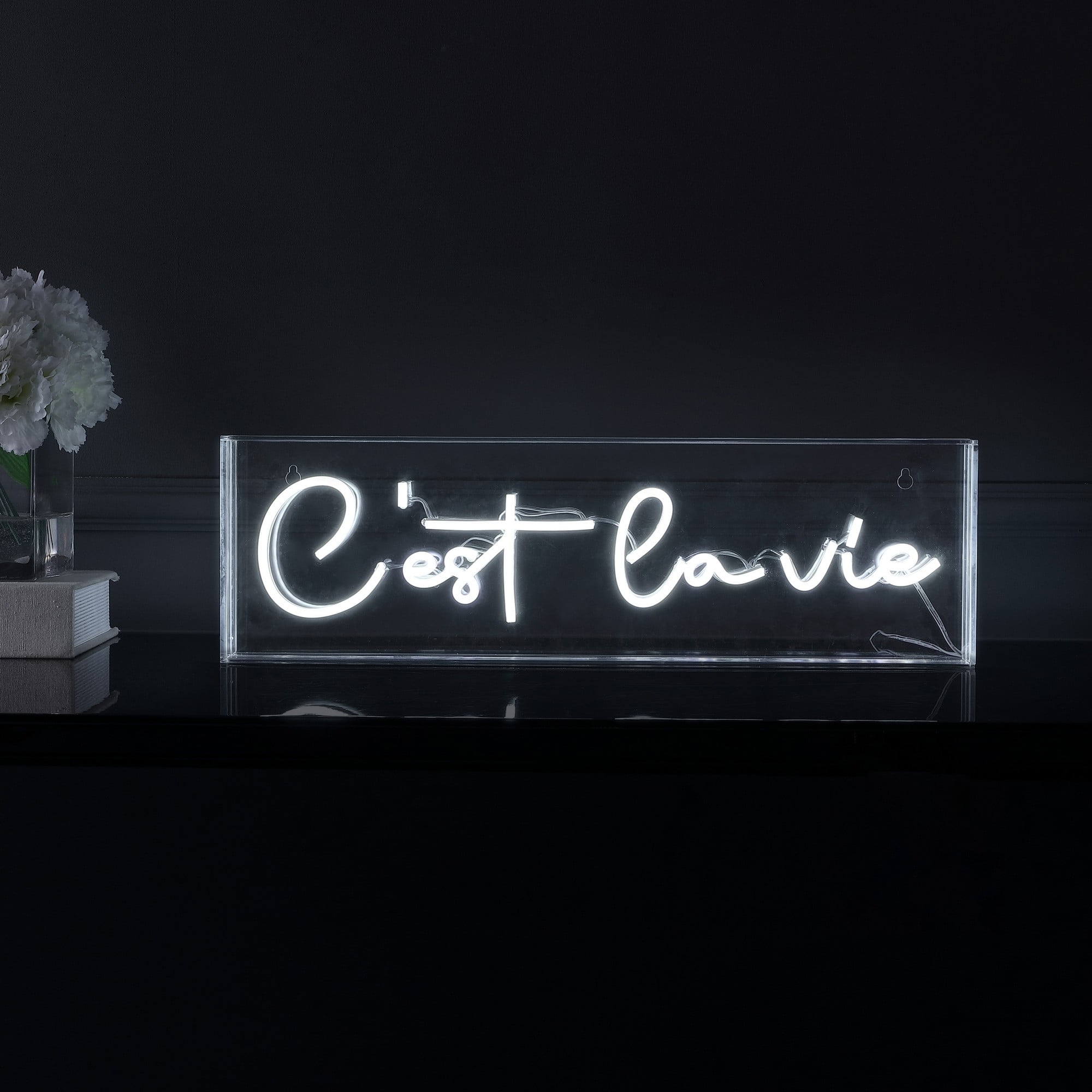 C'est La Vie 20" X 6" Contemporary Glam Acrylic Box USB Operated LED ...