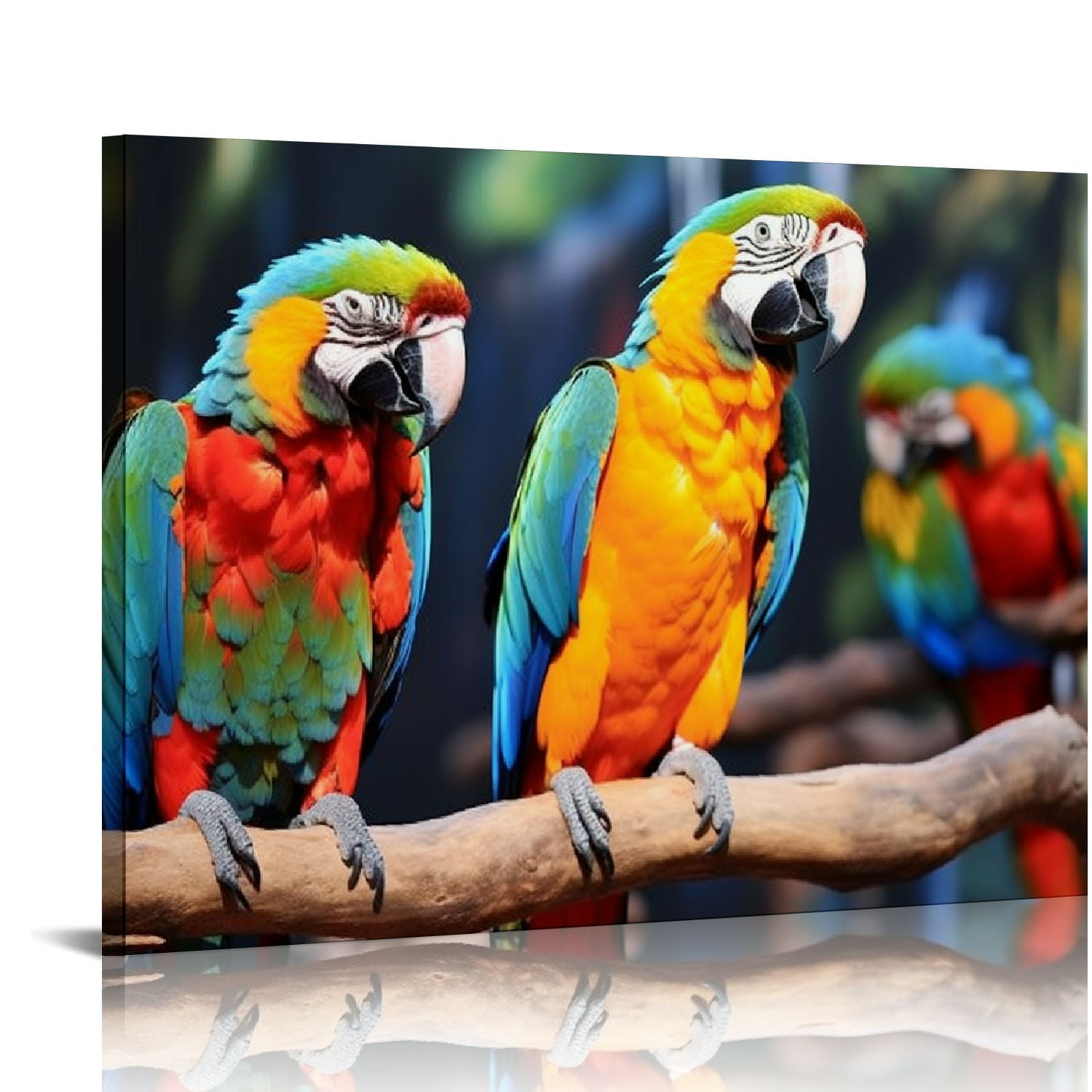 C04-GENYS Wall Art for Living Room Bedroom Parrot Pictures Poster Print ...