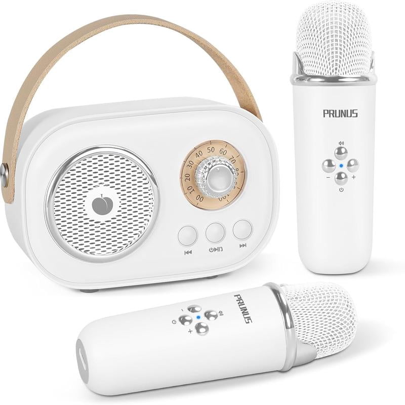 C20 Mini Karaoke Machine Portable Bluetooth Speaker with Wireless ...