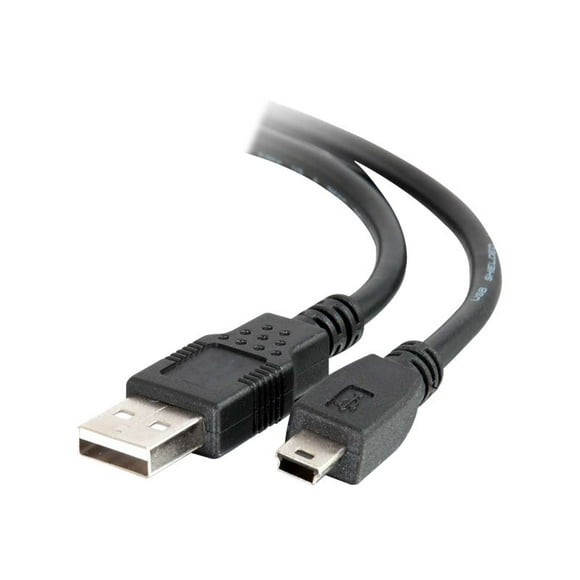 Mini B Mini B Cable