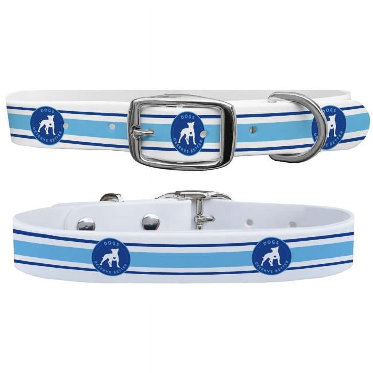 C4 Collars 410DDBST42 Dogs Deserve Better - Stripes Collar - Small ...