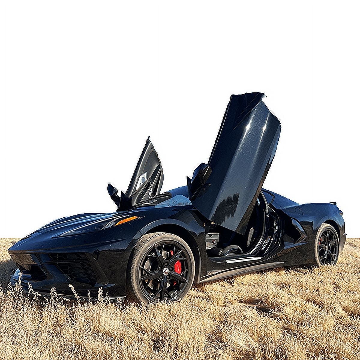 C8 Corvette Lambo Style Vertical Doors | Eikon Motorsports™ V2 Series ...