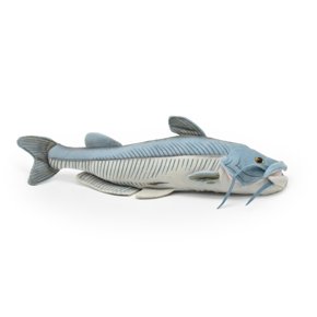 Catfish Toys