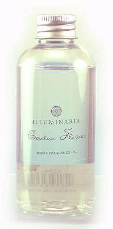 CACTUS FLOWER REFILL ZODAX Mini Illuminaria Porcelain Diffuser ...