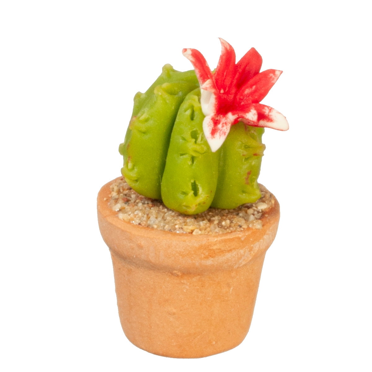 CACTUS Miniature Scale - Walmart.com