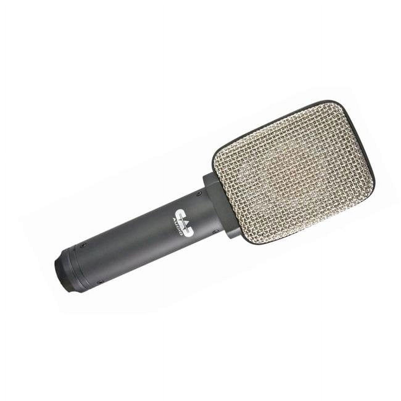 CAD Audio CAD-D80 Side Address Large Diaphragm Cardioid Dynamic Cabinet ...