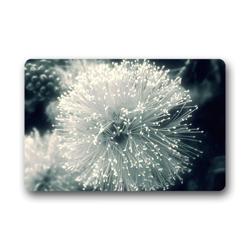 CADecor Dandelion Doormat Indoor Outdoor Floor Rug 30x18 inches ...