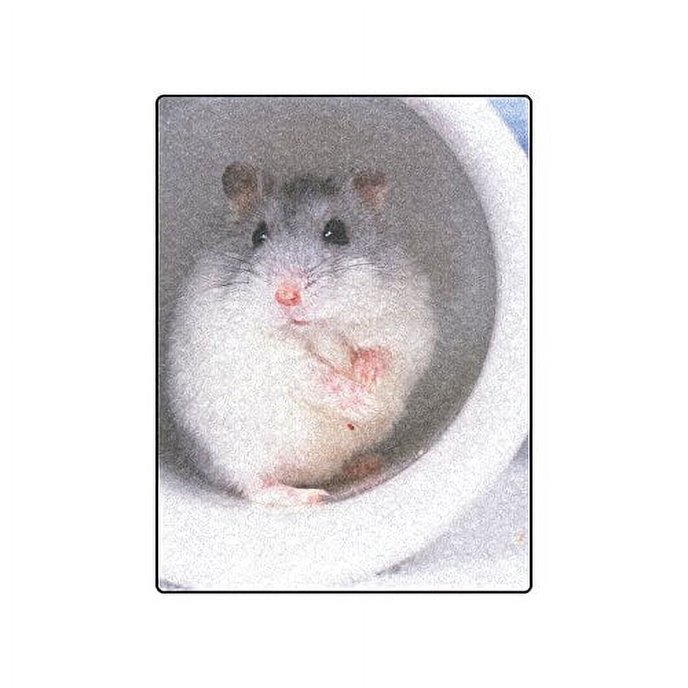 CADecor Hamsters in a Glass Blankets Throws Blanket Indoor Outdoor ...