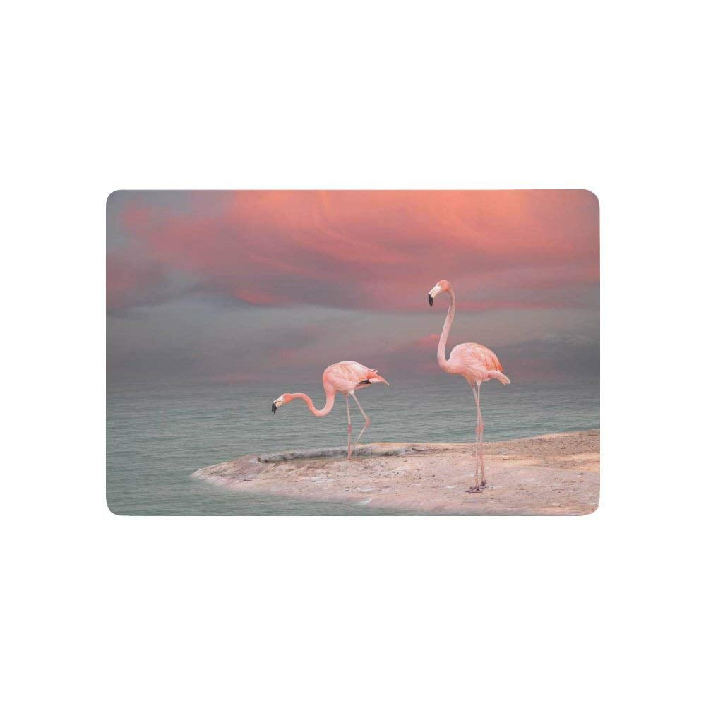 CADecor Vintage Pink Flamingo Door Mat Home Decor, Sunset Lake Scene ...