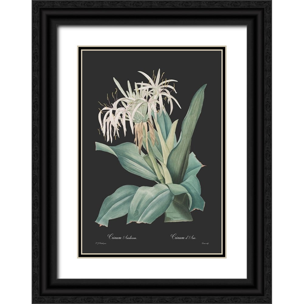 CAG 11x14 Black Ornate Wood Framed with Double Matting Museum Art Print ...