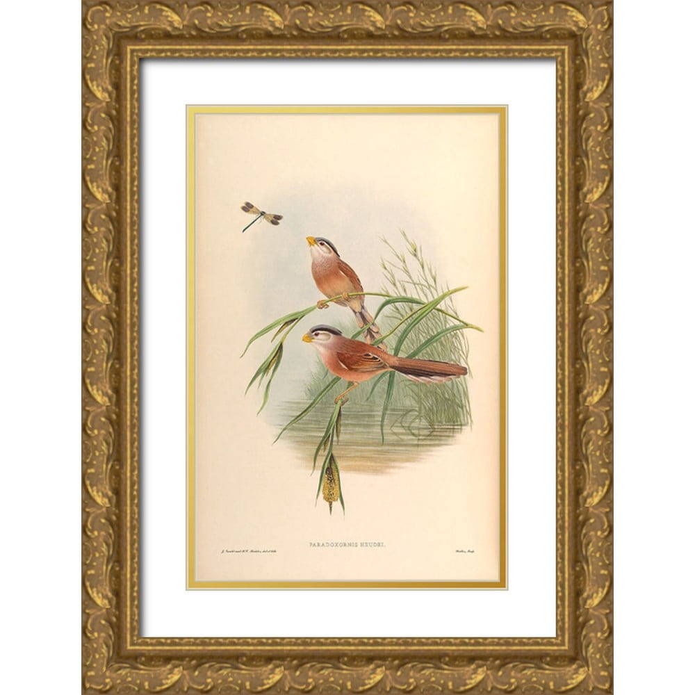 CAG 11x14 Gold Ornate Wood Framed with Double Matting Museum Art Print ...