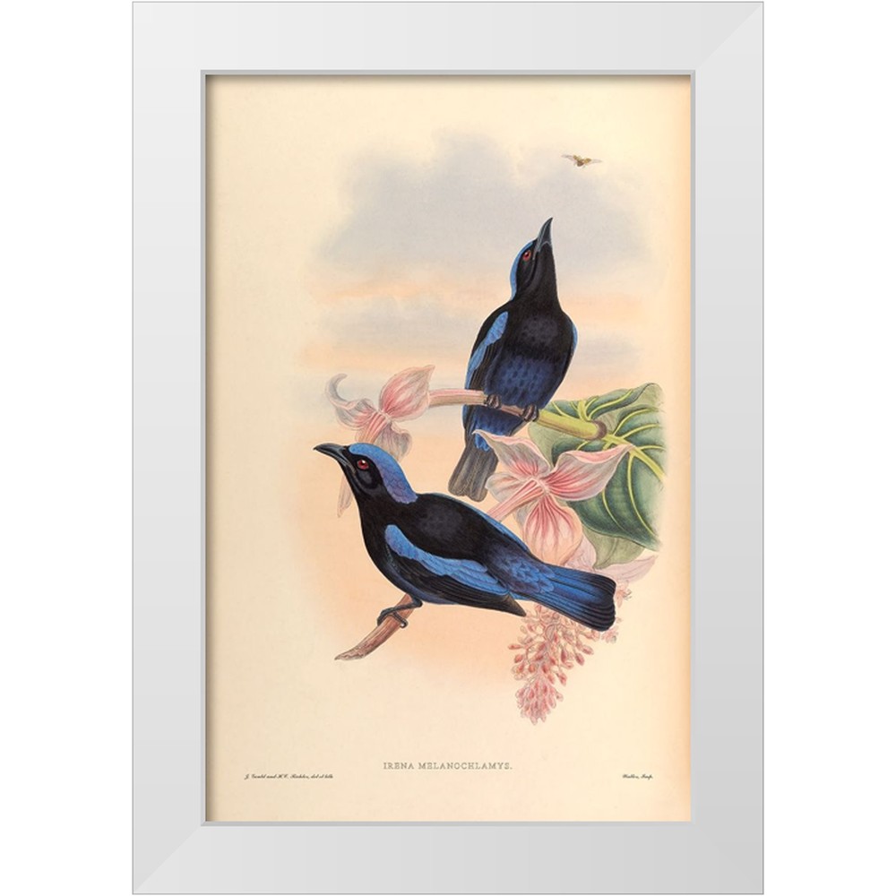 CAG 11x14 White Modern Wood Framed Museum Art Print Titled - Irena ...