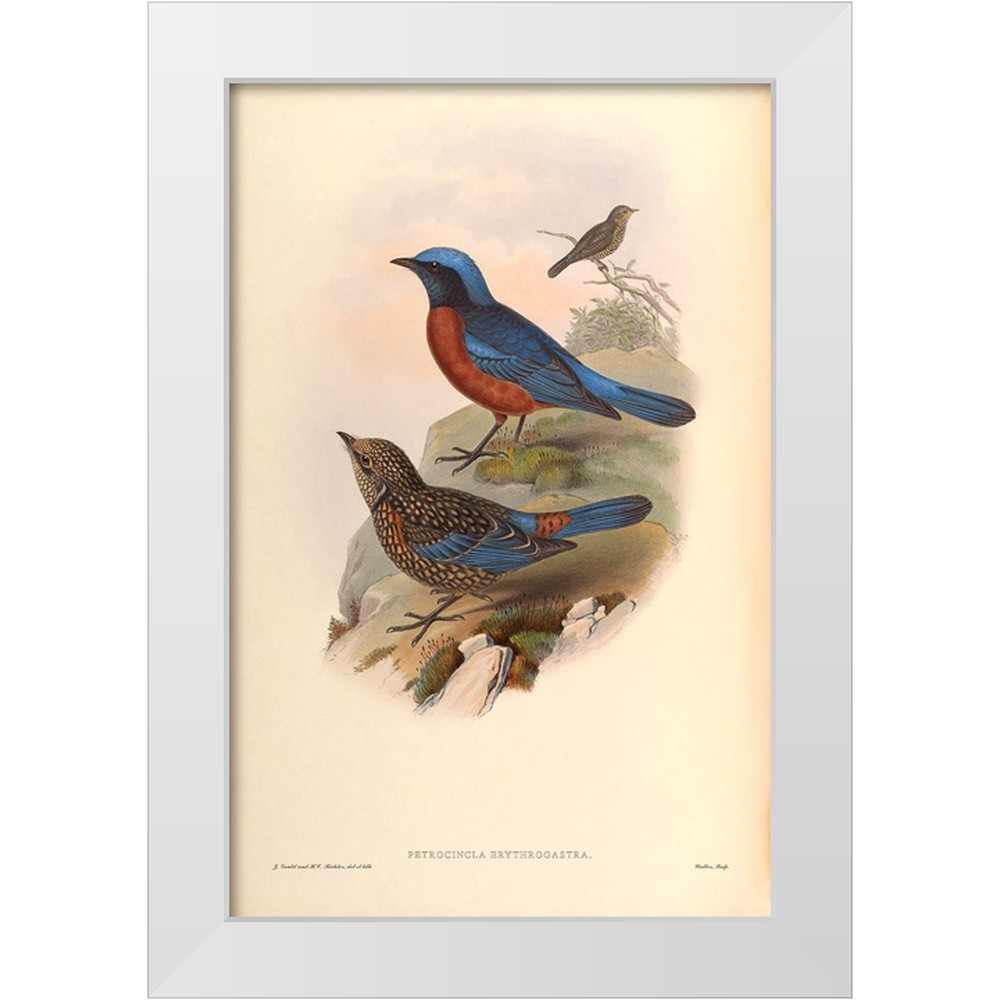 CAG 11x14 White Modern Wood Framed Museum Art Print Titled ...