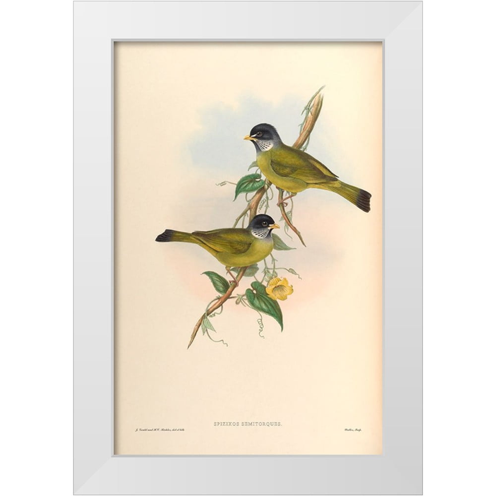 CAG 13x18 White Modern Wood Framed Museum Art Print Titled - Spizixos ...