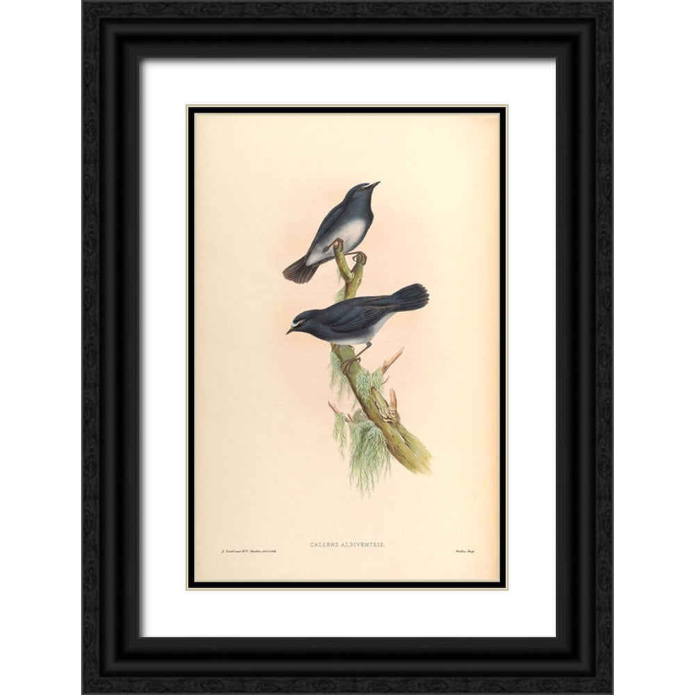CAG 17x24 Black Ornate Wood Framed with Double Matting Museum Art Print ...