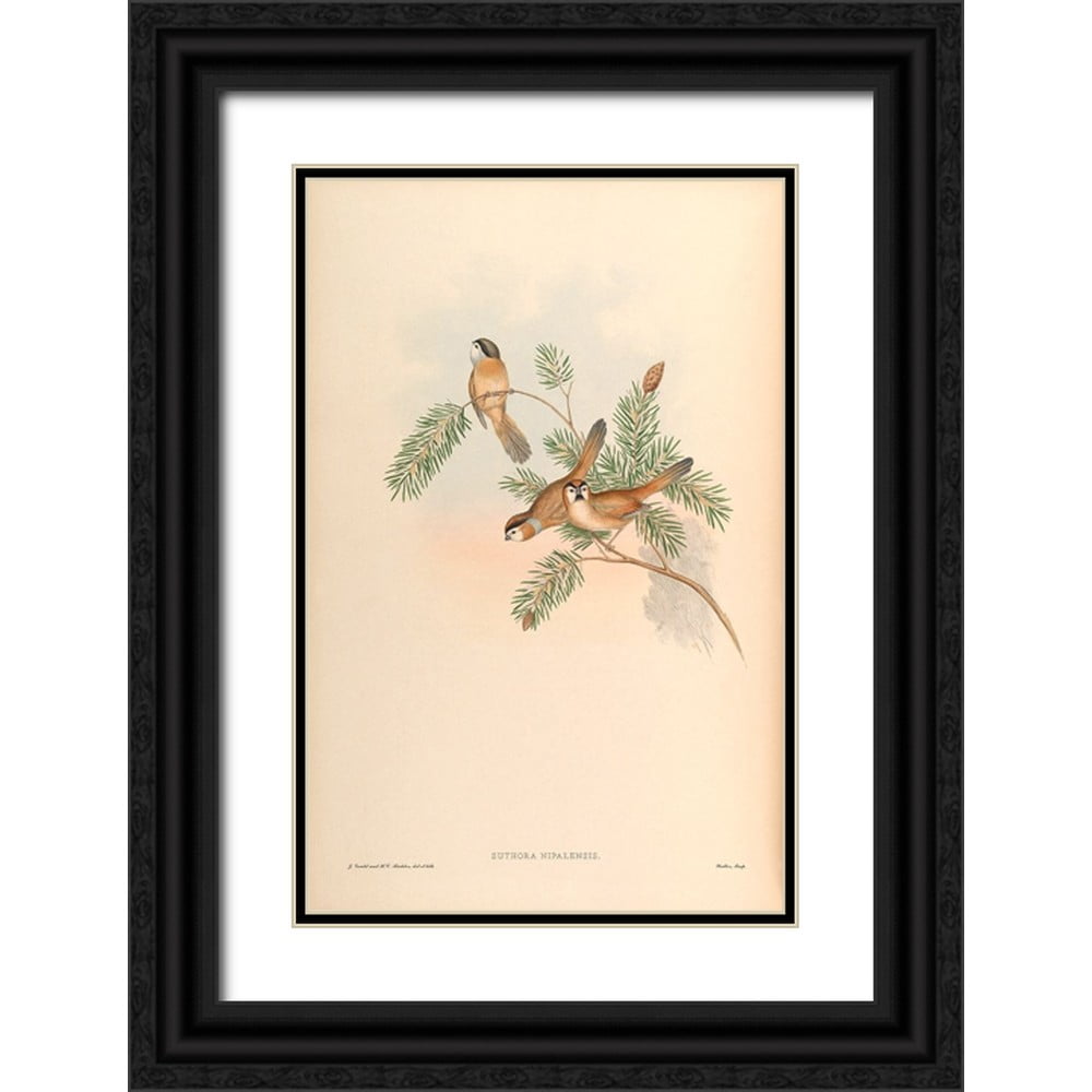 CAG 17x24 Black Ornate Wood Framed with Double Matting Museum Art Print ...