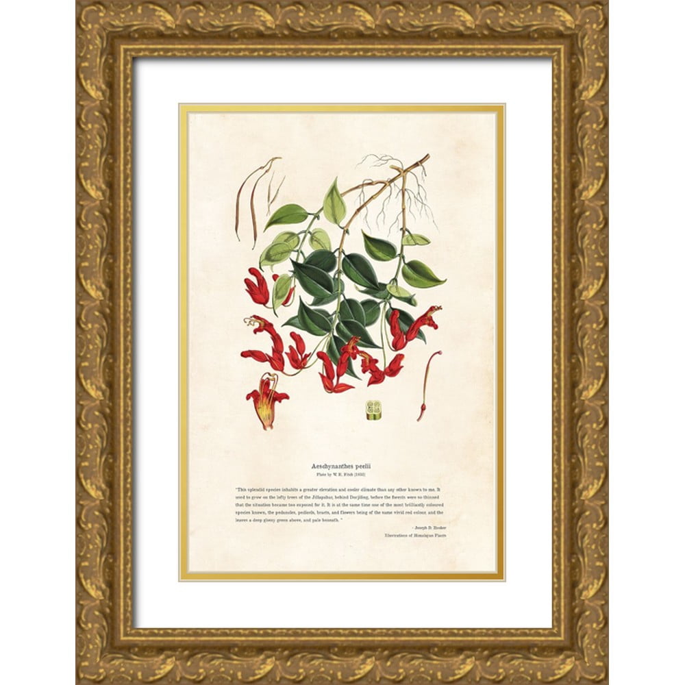 CAG 17x24 Gold Ornate Wood Framed with Double Matting Museum Art Print ...