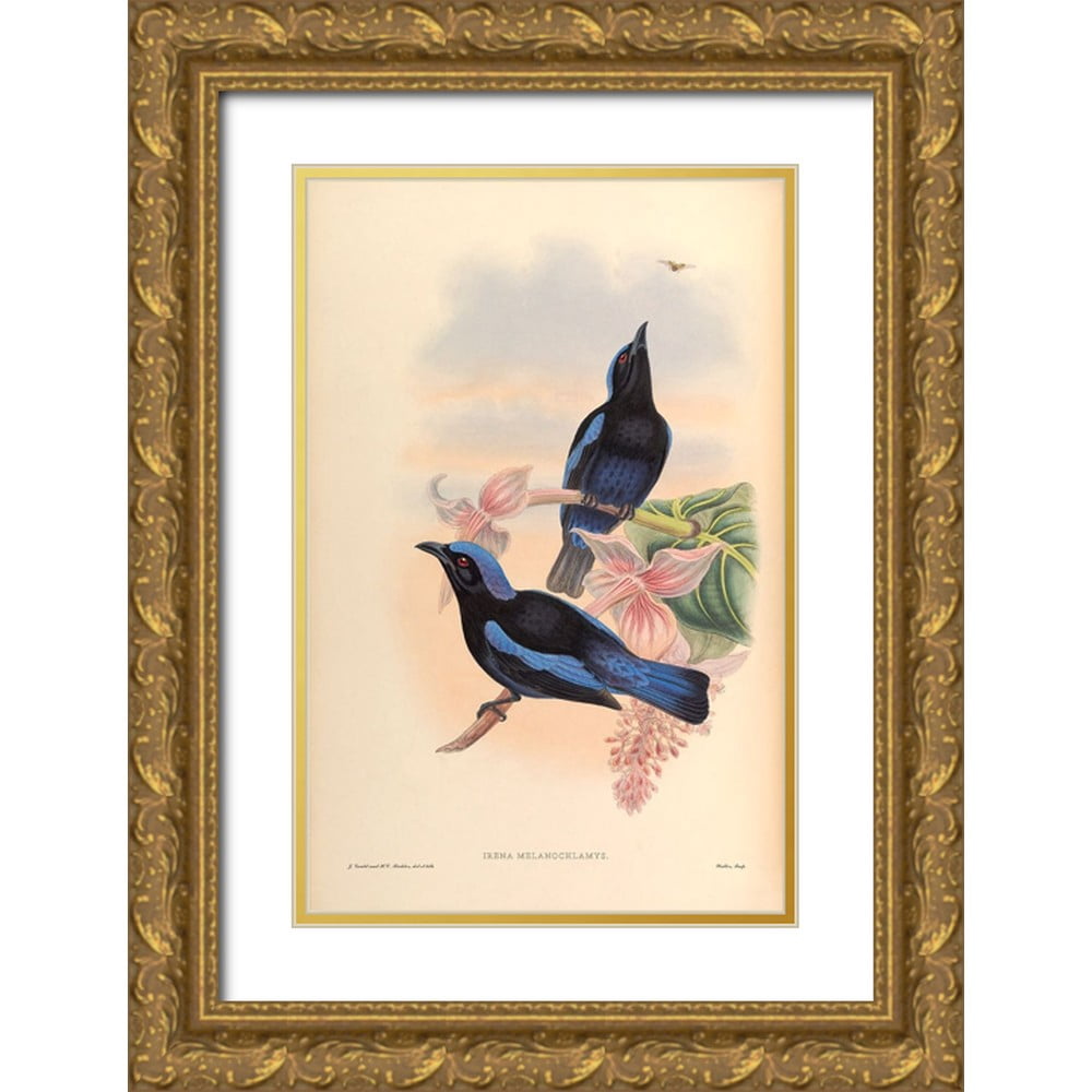 CAG 17x24 Gold Ornate Wood Framed with Double Matting Museum Art Print ...