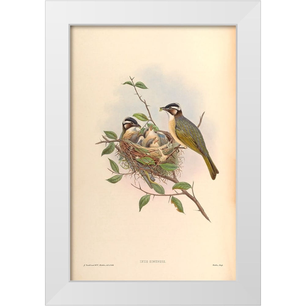 CAG 17x24 White Modern Wood Framed Museum Art Print Titled - Ixus ...