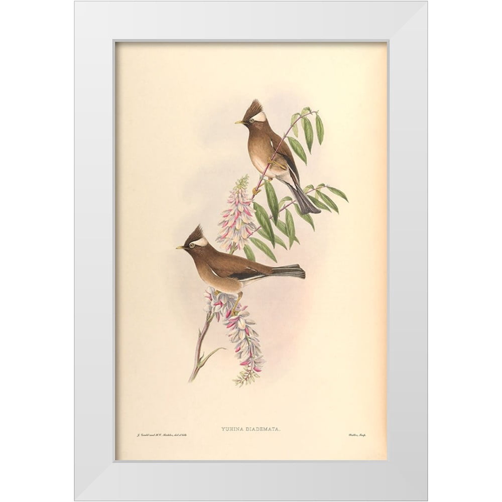 CAG 17x24 White Modern Wood Framed Museum Art Print Titled - Yuhina ...