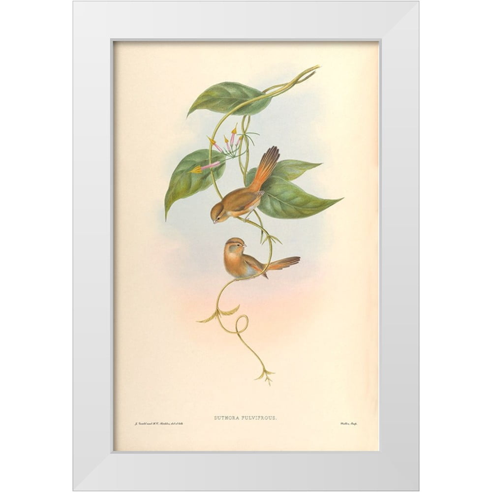 CAG 22x32 White Modern Wood Framed Museum Art Print Titled - Suthora ...