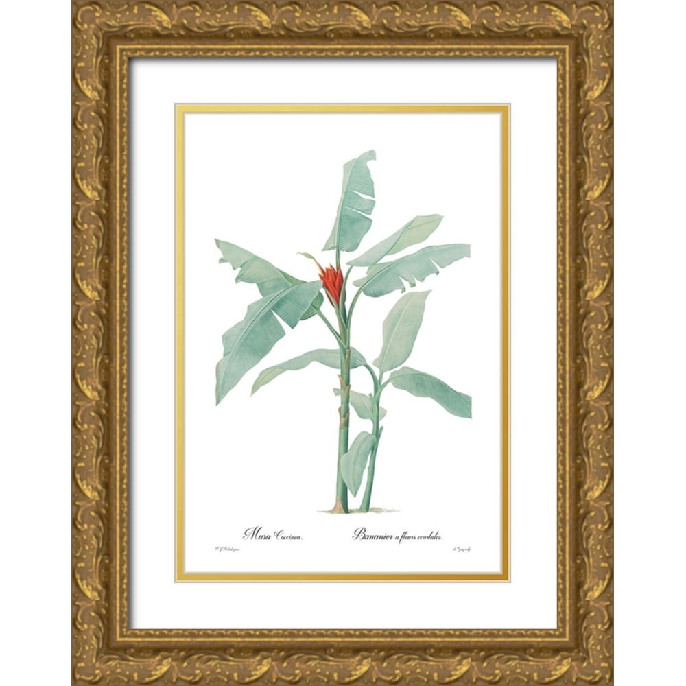CAG 23x32 Gold Ornate Wood Framed with Double Matting Museum Art Print ...