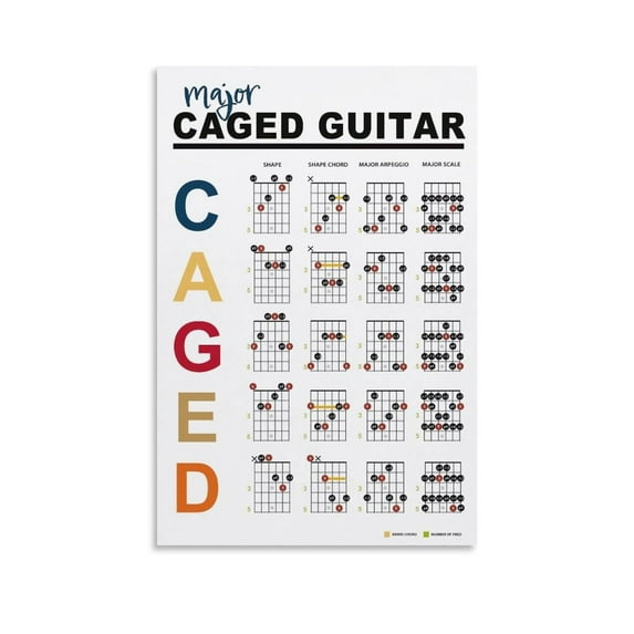 CAGED Guitar Theory System , Learn Guitar Chords, Guitar Theory , Basic ...