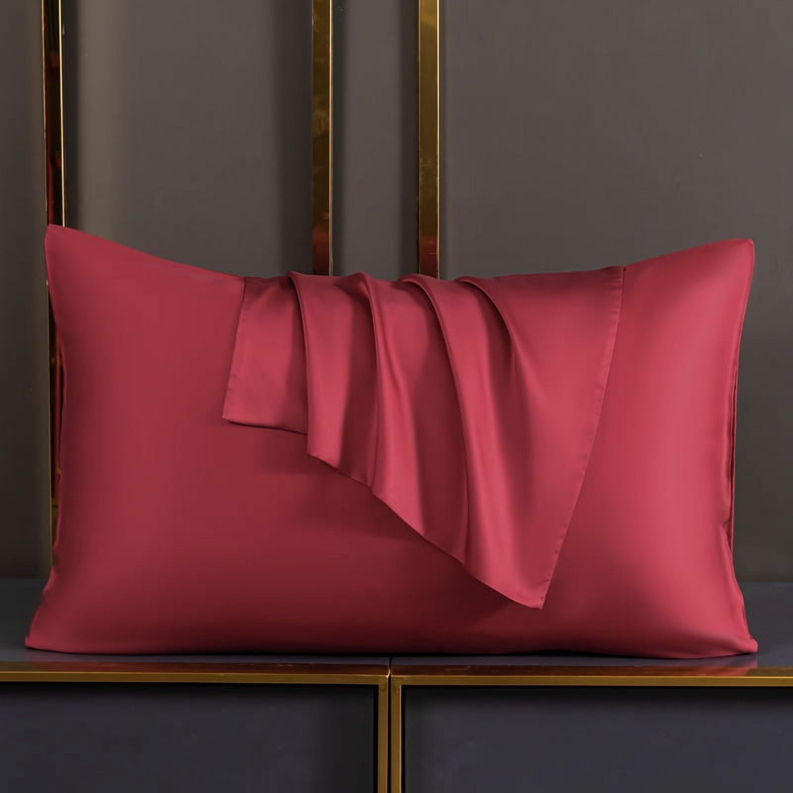 CAI Jianling 100% Natural Mulberry Silk Pillow Case Real Silk Protect ...