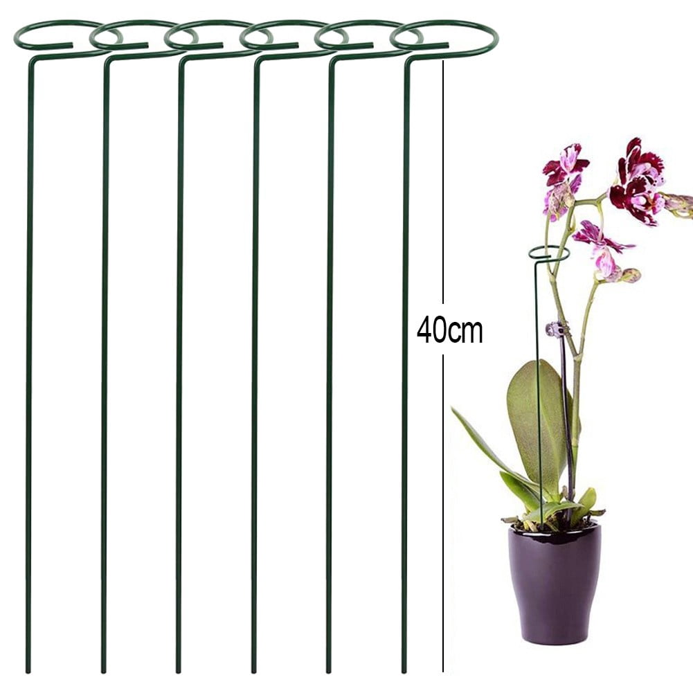 CAIJIEXI 6Pcs Plant Stakes for Flowers Single Stem Plant Support for ...