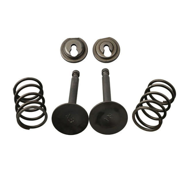 CAIJIEXI Intake Inlet Exhaust Valve Spring-Collet Retainer Set for ...