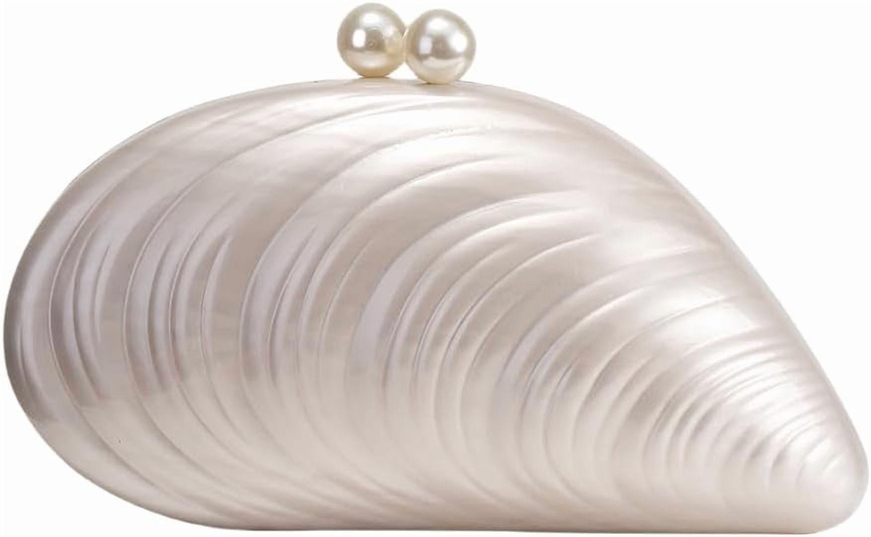 CAILDANL Seashell Chain Shoulder Bag for Women Acrylic Evening Clutch ...