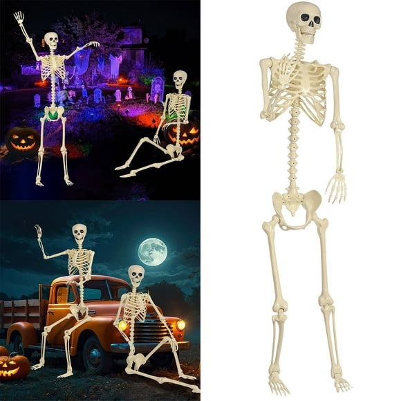 6 Foot Skeletons