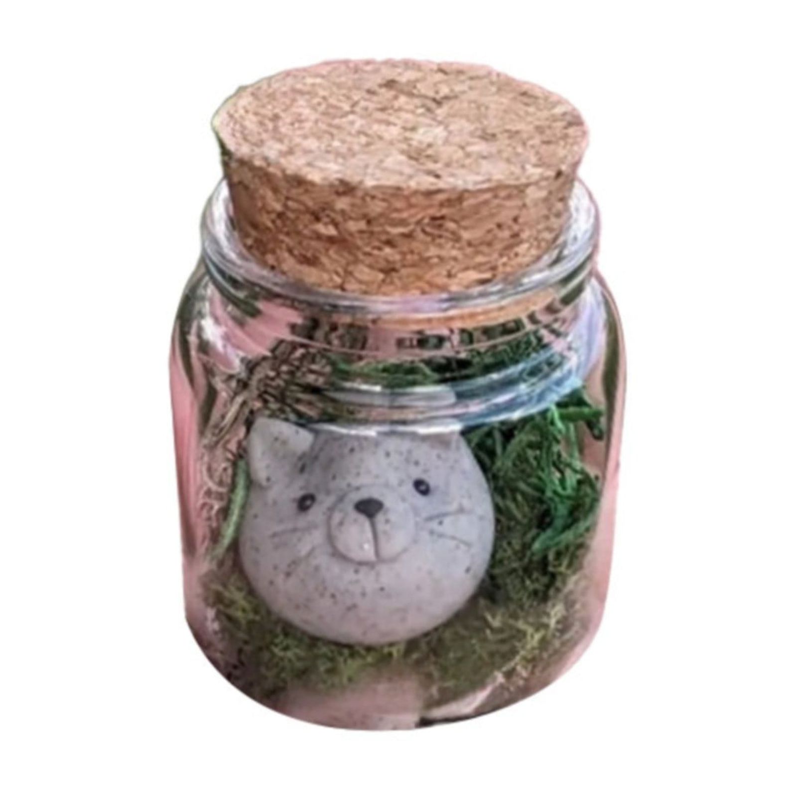 CAKVIICA Adopt A Rock Pet Handmade Desktop Decoration In A Jar With ...