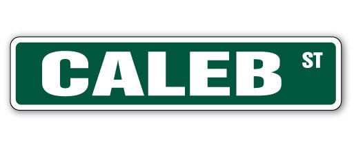CALEB Street Sign Childrens Name Room Sign | Indoor/Outdoor | 36" Wide ...