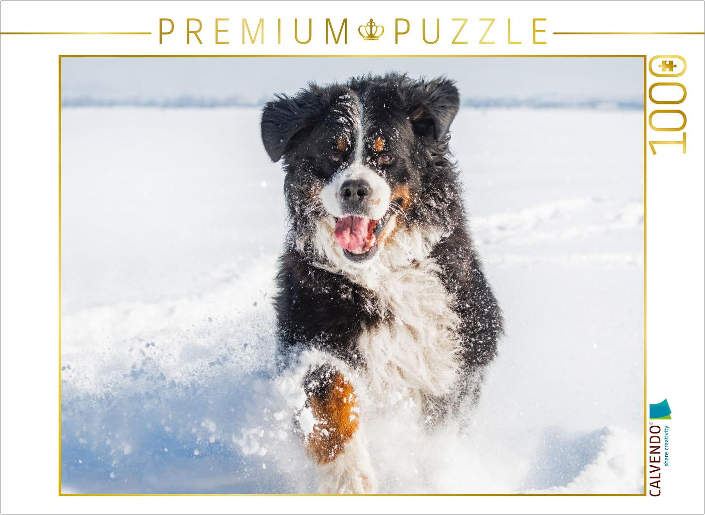 CALVENDO Puzzle Berner Sennenhund in seinem Element | 1000 Teile Lege ...