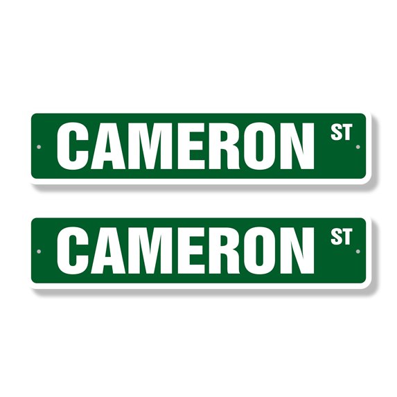 CAMERON Classic Street Sign (2 Pack) Childrens Name Room Sign Road Sign ...