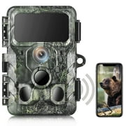 Camouflage Camera