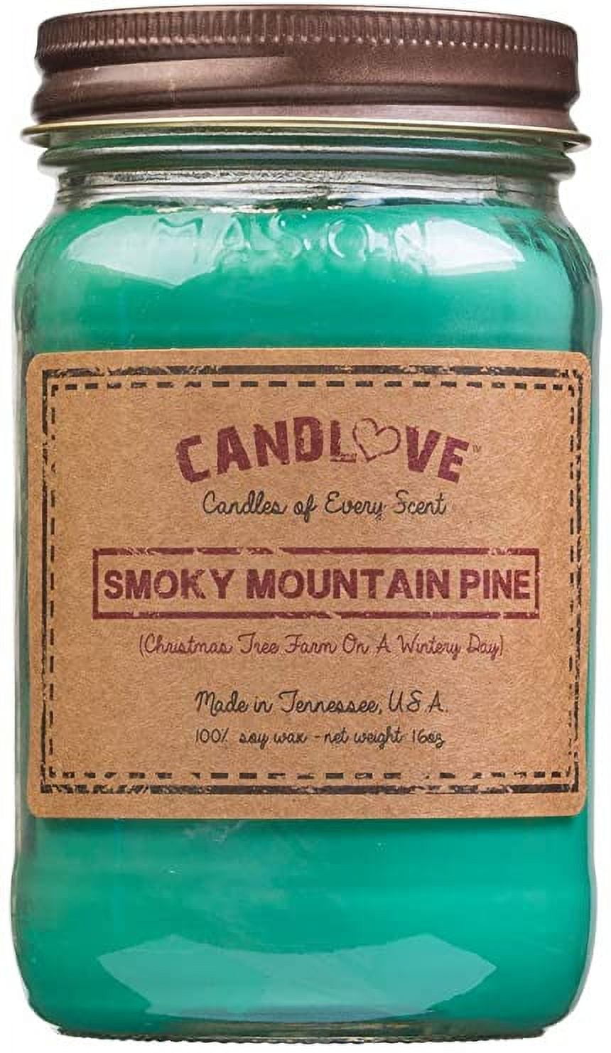 CANDLOVE "Smoky Mountain Pine Scented 16oz Mason Jar Candle 100% Soy ...