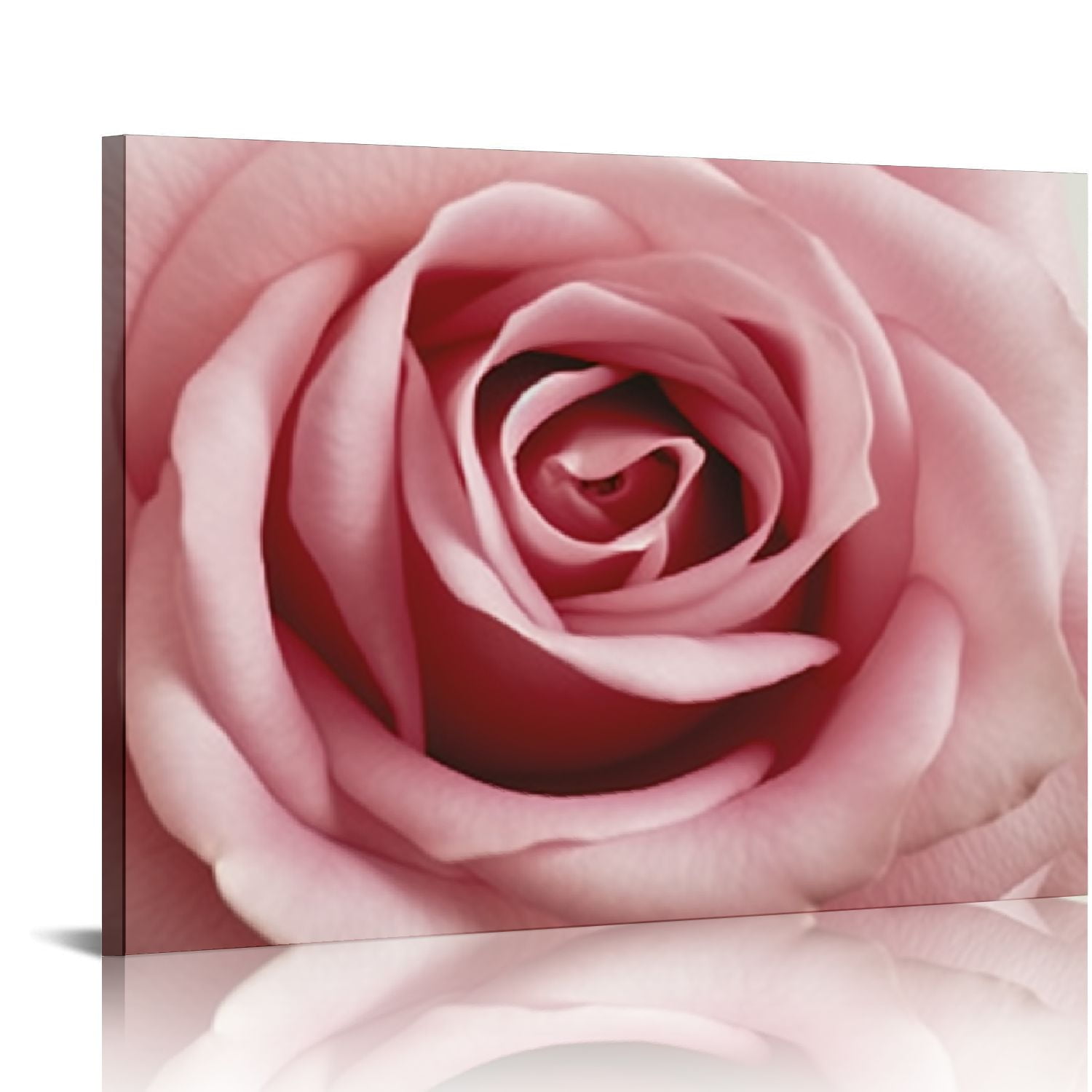 CANFLASHION Pink Rose Close Up Canvas Wall Art Blush Pink Room Decor ...