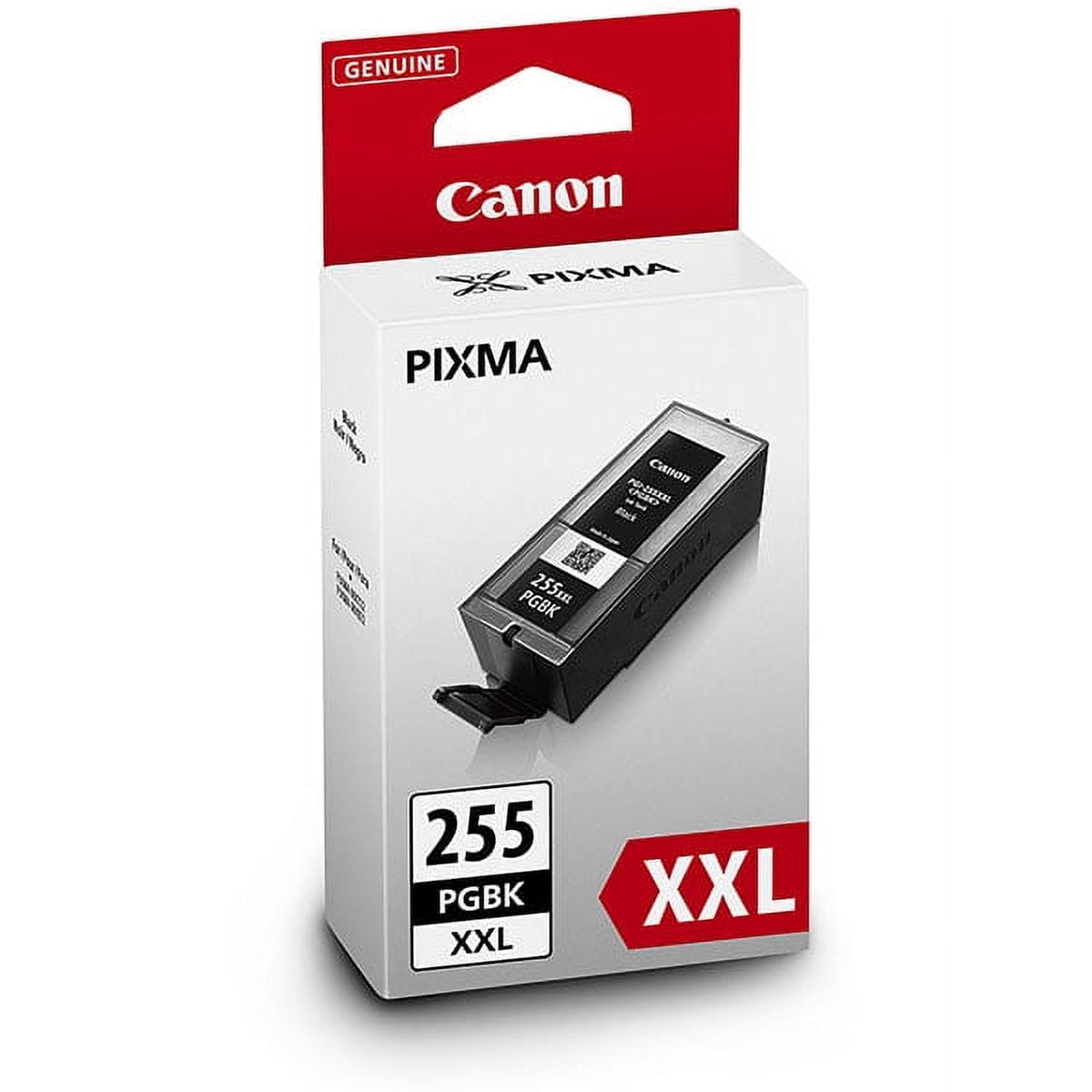 CANON 8050B001 8050B001 (PG-255XXL) ChromaLife 100+ High-Yield Ink, 300 ...