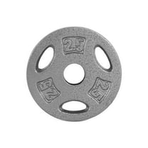 CAP Barbell Standard Cast Iron Weight Plate, 1.25-50 Lbs. Gray ...