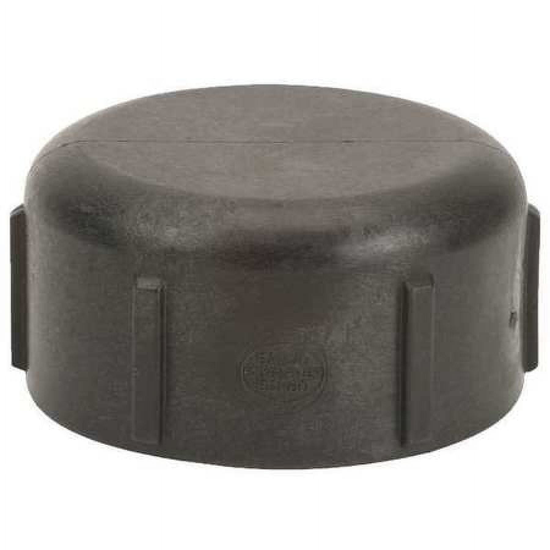 Manufacturer Varies Cap,3 in Pipe Size, Schedule 80, FNPT CAP300 ...