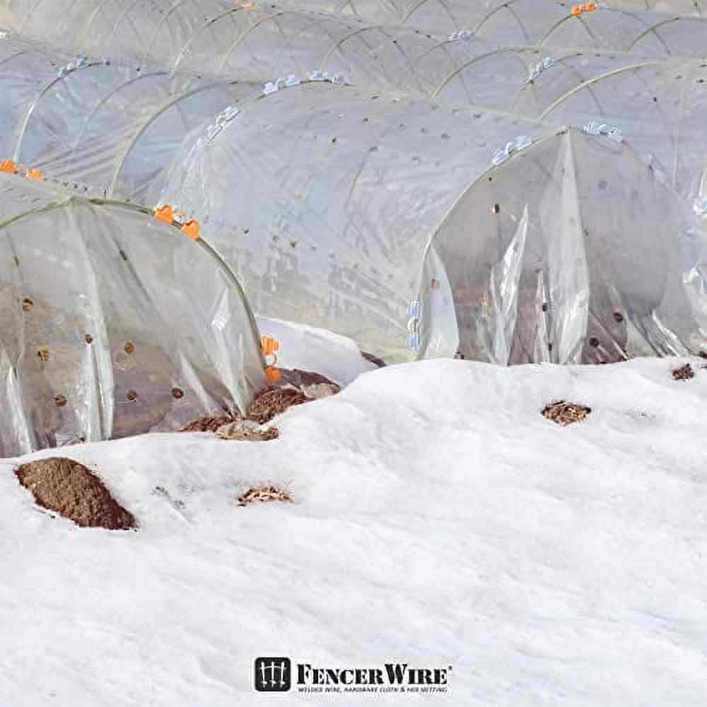CAPHAUS 6 mil Clear Greenhouse Plastic Sheeting, 4-Year UV Resistant ...