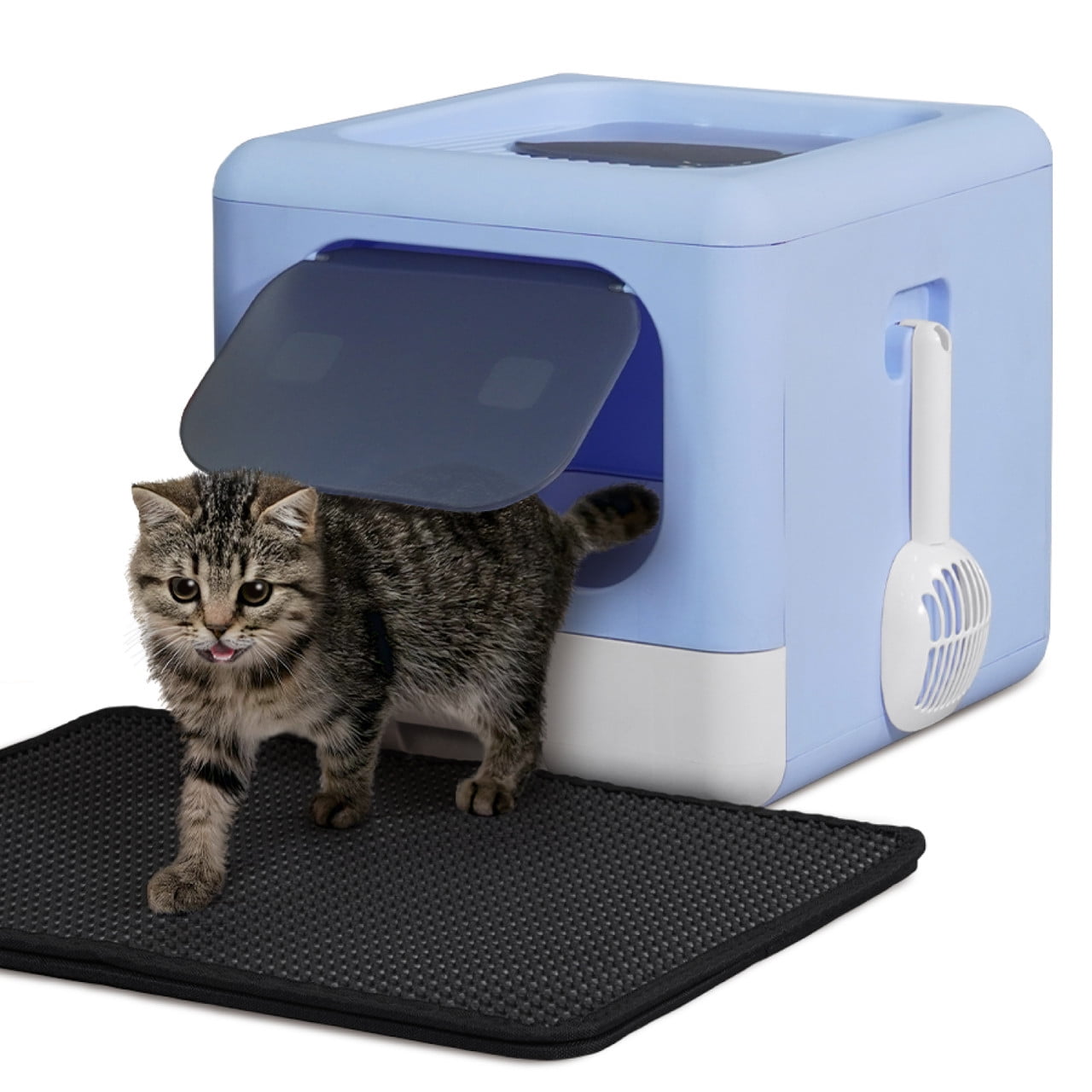 CAPHAUS Foldable Cat Litter Box with Lid for Kitten, Two-Way Entry ...