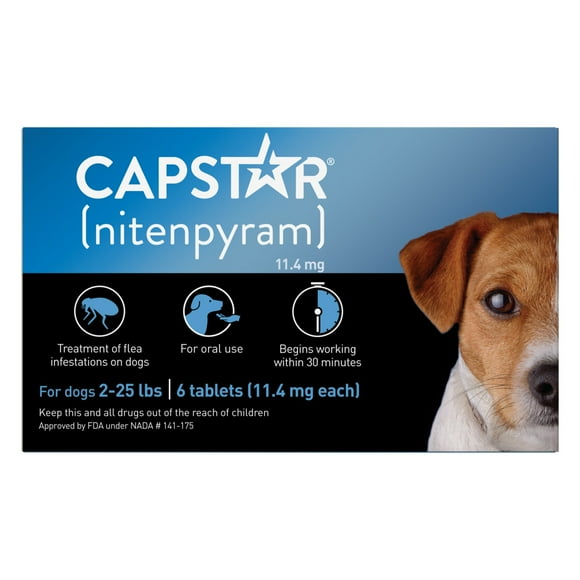 Capstar in Pet IQ - Walmart.com