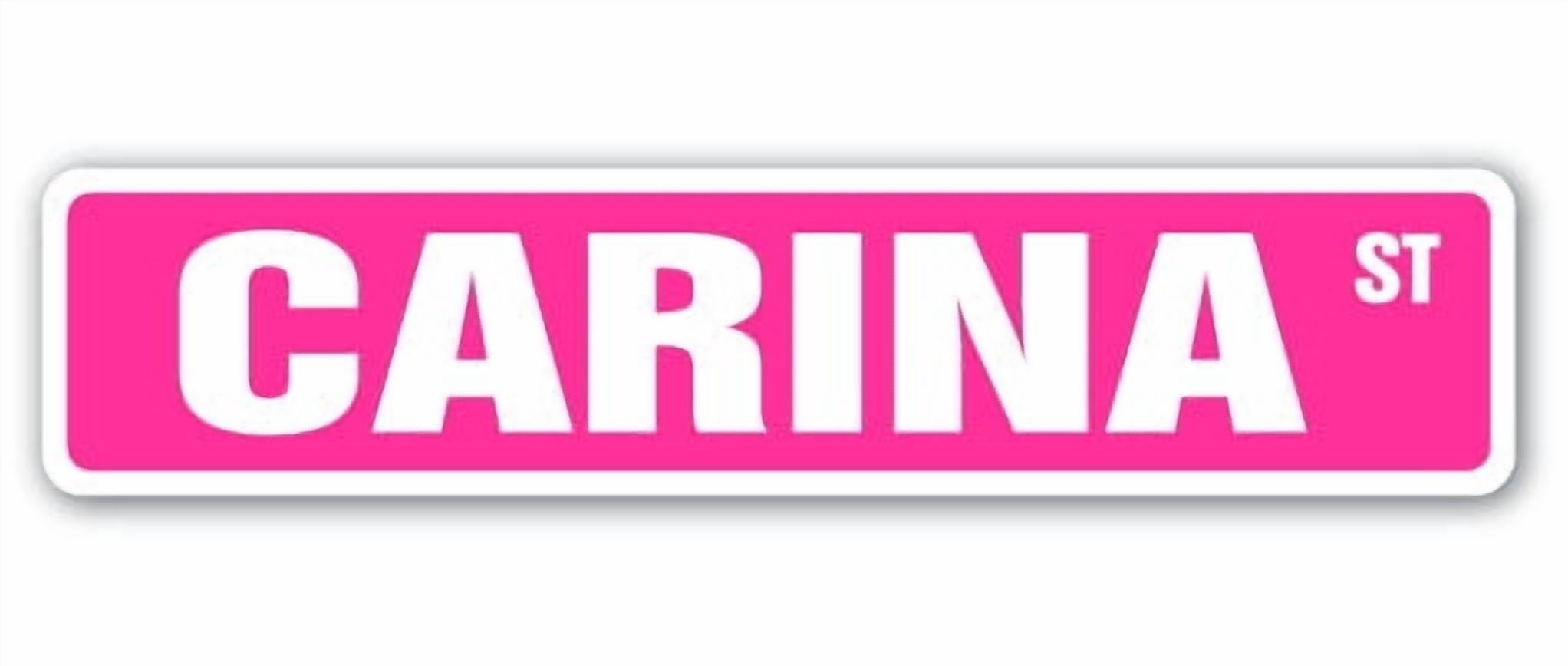 CARINA Street Sign Childrens Name Room Sign | Indoor/Outdoor | 30" Wide ...
