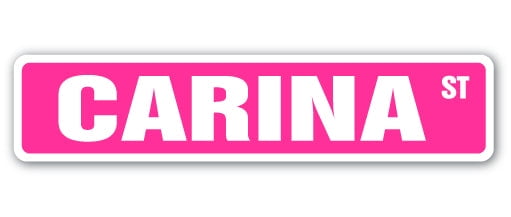 CARINA Street Sign Childrens Name Room Sign | Indoor/Outdoor | 36" Wide ...