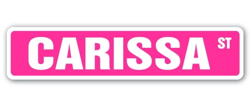 CARISSA Street Sign Childrens Name Room Sign | Indoor/Outdoor | 36 ...