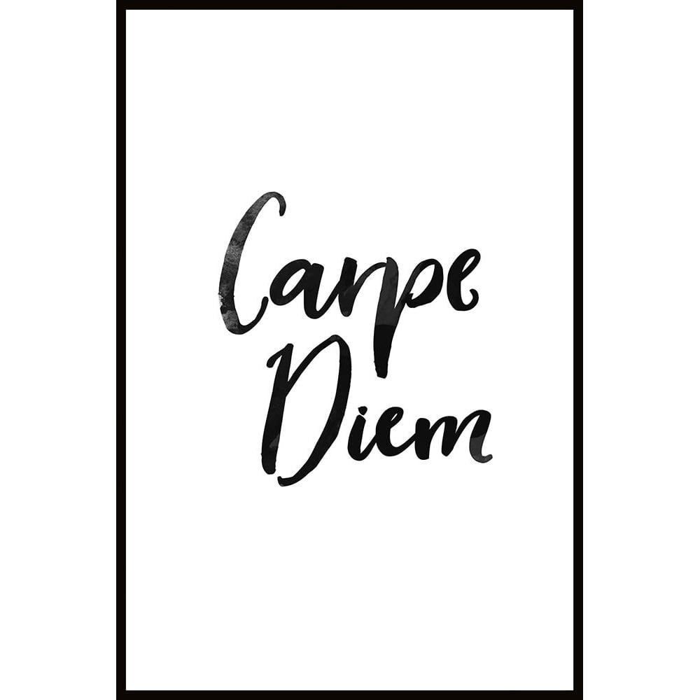 CARPE DIEM Poster Print by Atelier B Art Studio - Walmart.com